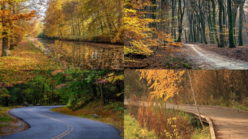 Exploring Yellow Spring Road: Where History Meets Beauty